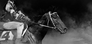 Famous Thoroughbred Horses - thoroughbredchampions.com